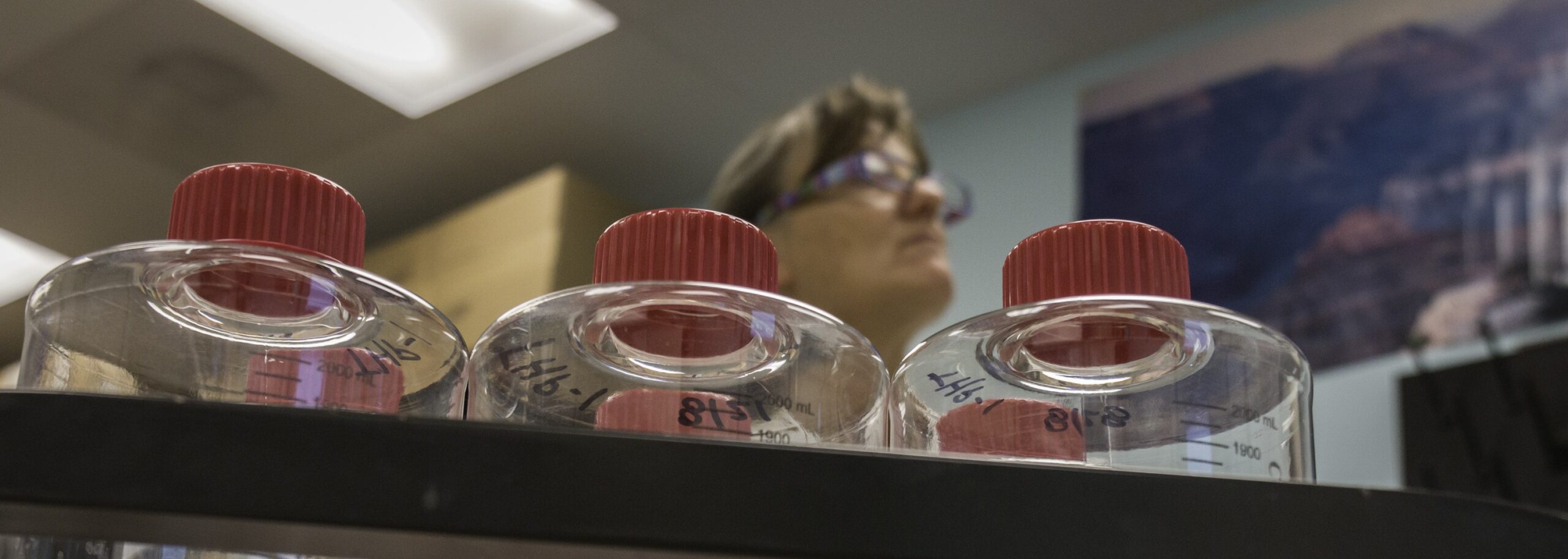 Cell Line Expansion - Texcell